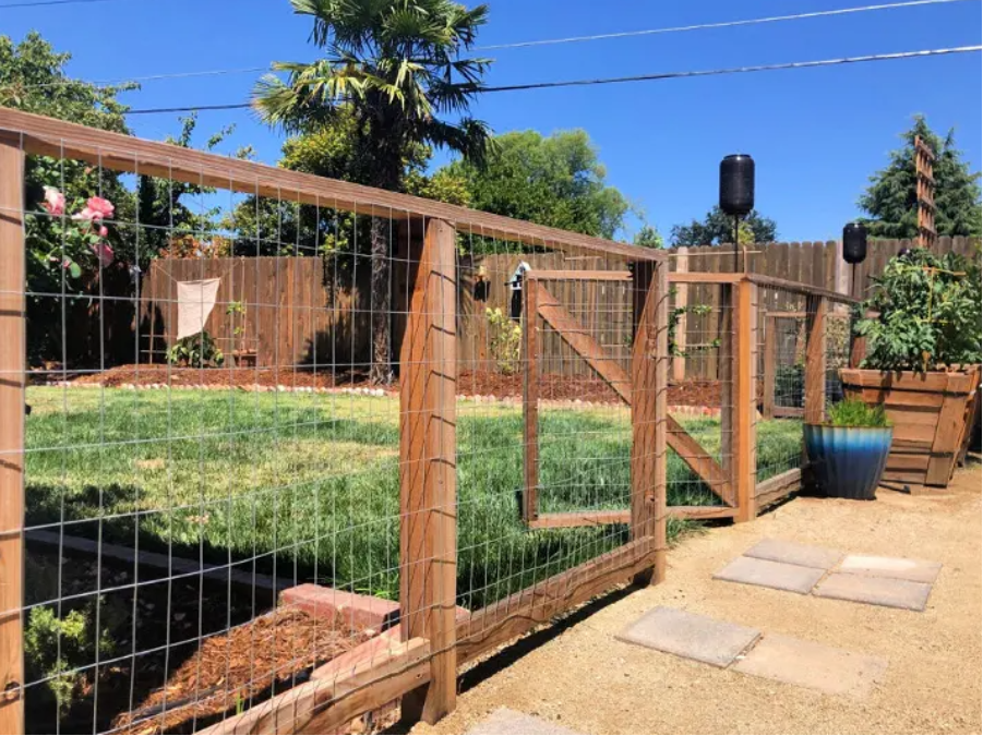 Cost-Effective Ways to Install a Temporary Garden Deer Fence - sinfuldeeds